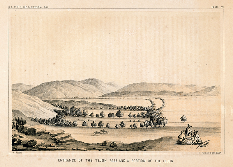 SCVHistory.com LW2882 | Tejon Area | USPRR/Williamson Expedition (1853 ...